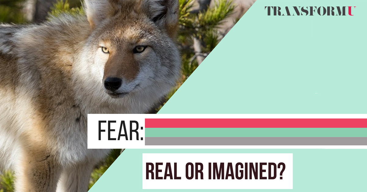 3 Surefire Ways to Master Your Fears with Valor